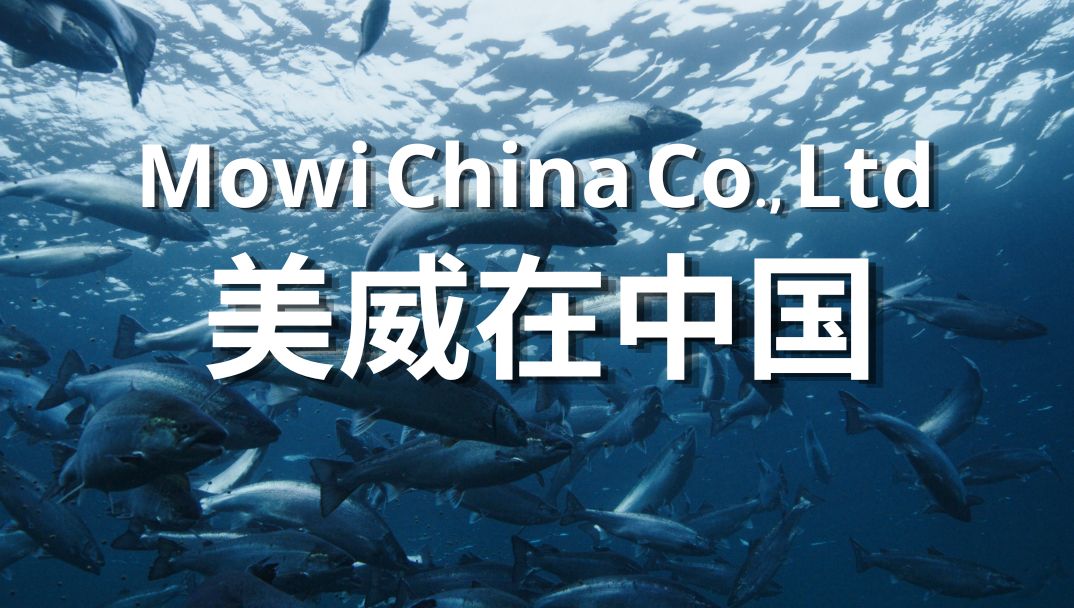 ...在中国,美威集团通过其上海工厂的投产运营,进一步加深了对中国市场...
