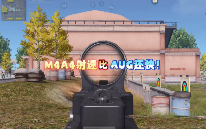 M4A4竟然射速比AUG还要快!_荒野行动
