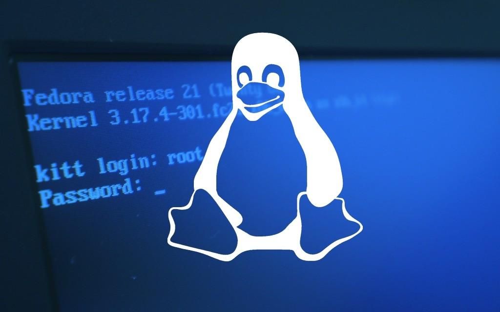 当Linux用户试图开启计算机并进入操作系统. .