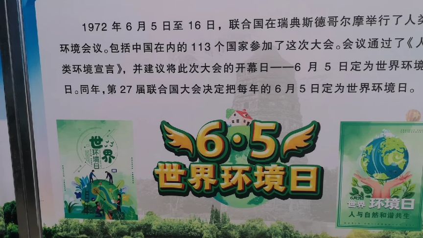 6.5世界环境日!