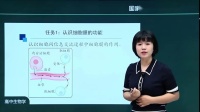 06高一生物必修一生物分子与细胞2021新人教版部编版统编版高中...