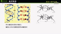 DNA分子的结构特点和特性