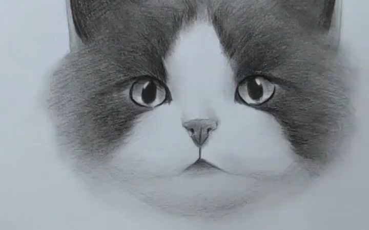 素描猫咪的简单教程