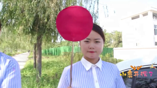 小鹿老师不遵守规则,乱闯红灯引发交通事故,小朋友不能向他学习