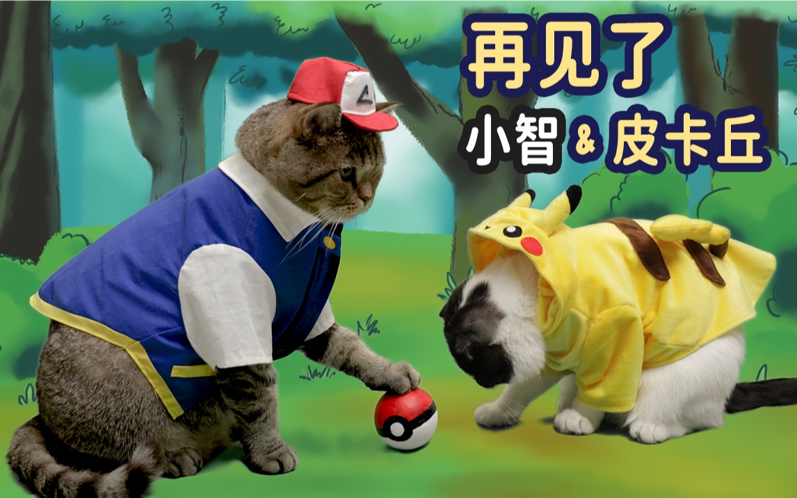 再见了,小智和皮卡丘|精灵宝可梦猫咪版