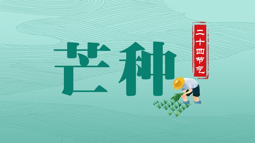 《二十四节气》之“芒种”