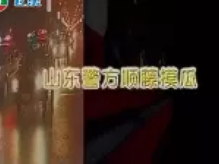 -中国大案侦破纪实-第2部