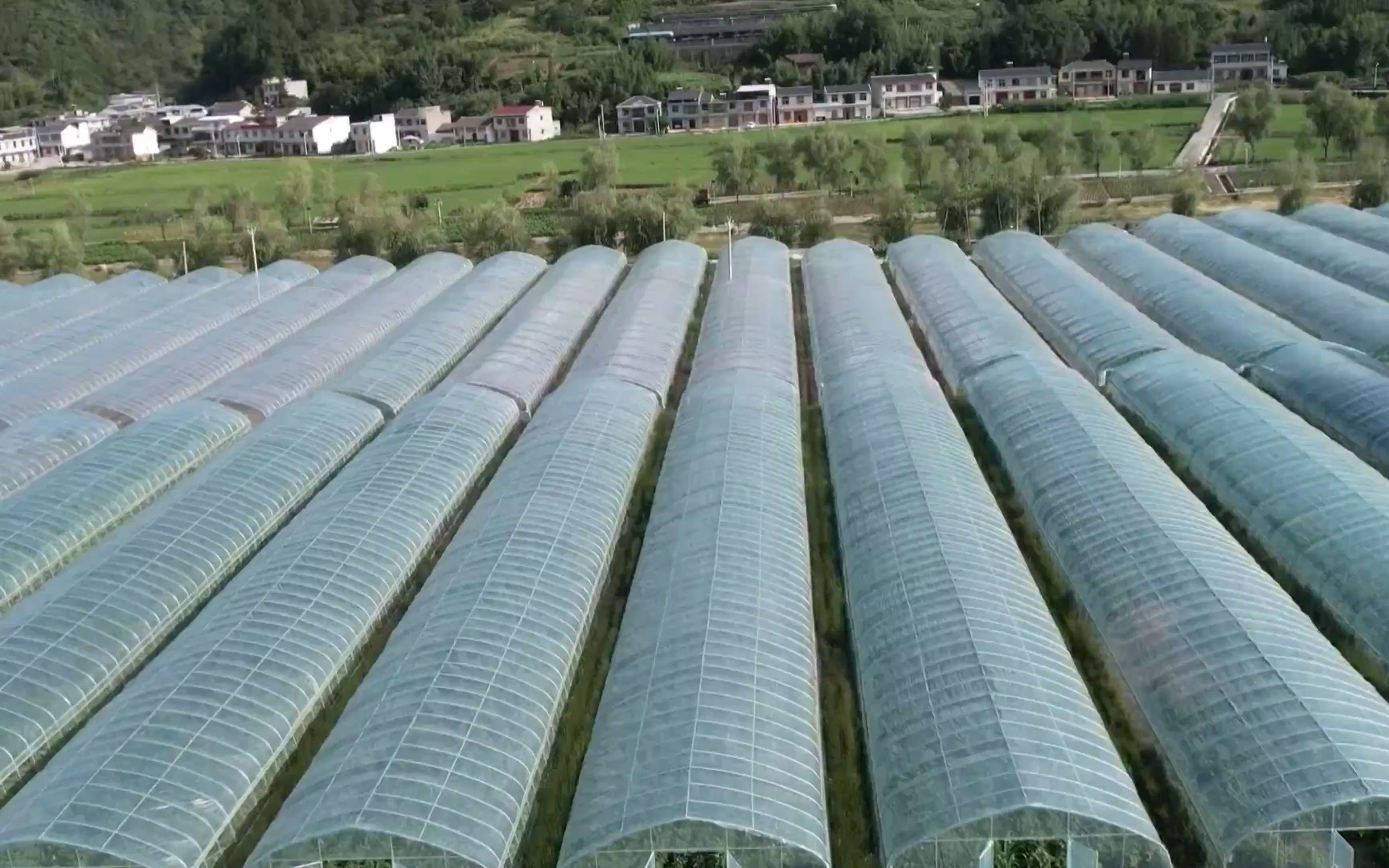玻璃温室大棚家庭农场种植模式