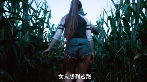 农场主将女孩做成稻草人,绑在田里驱赶鸟群!惊悚恐怖电影