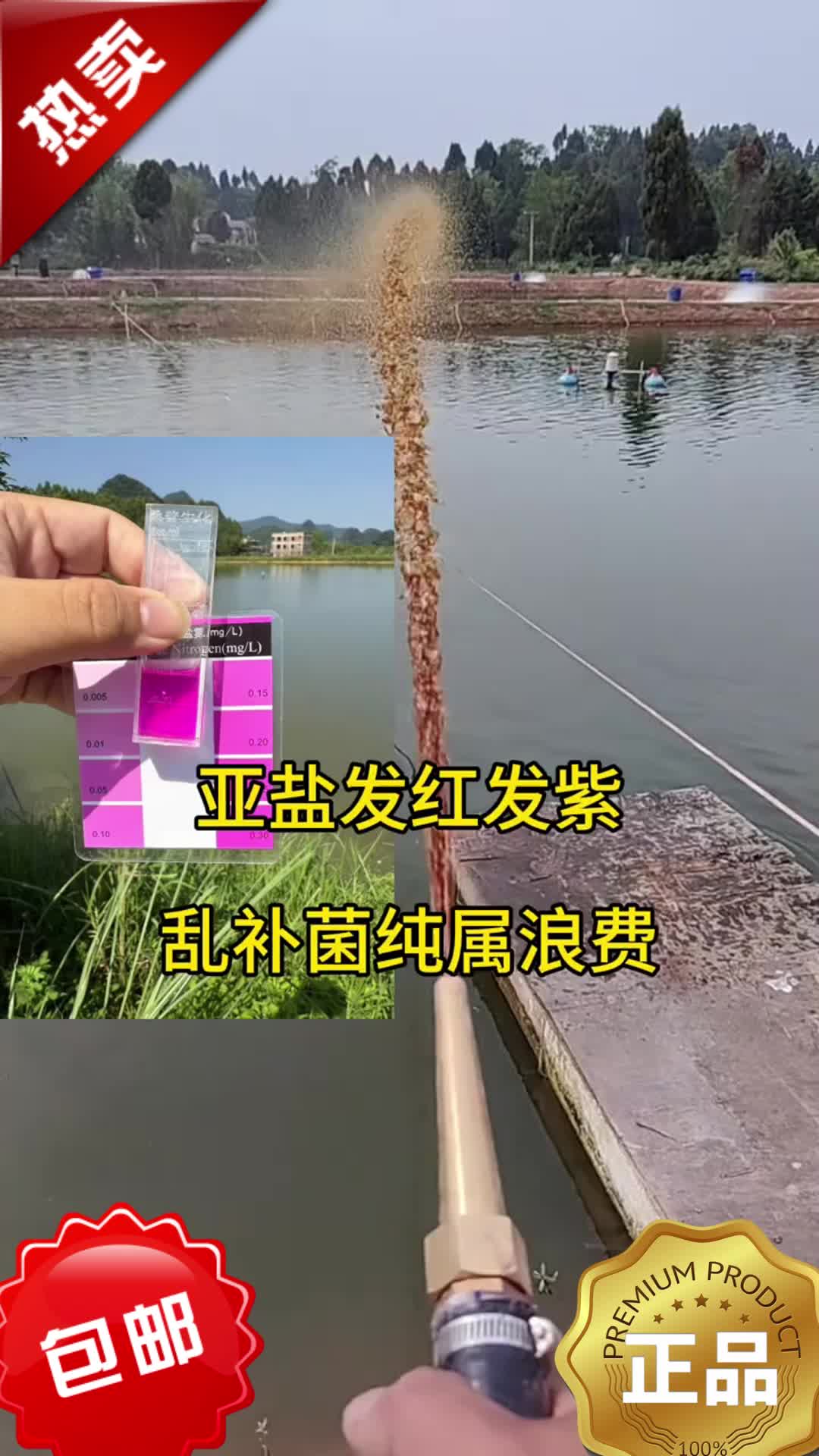 氨氮不及时处理啥后果?#四大家鱼养殖 #水产养殖技术