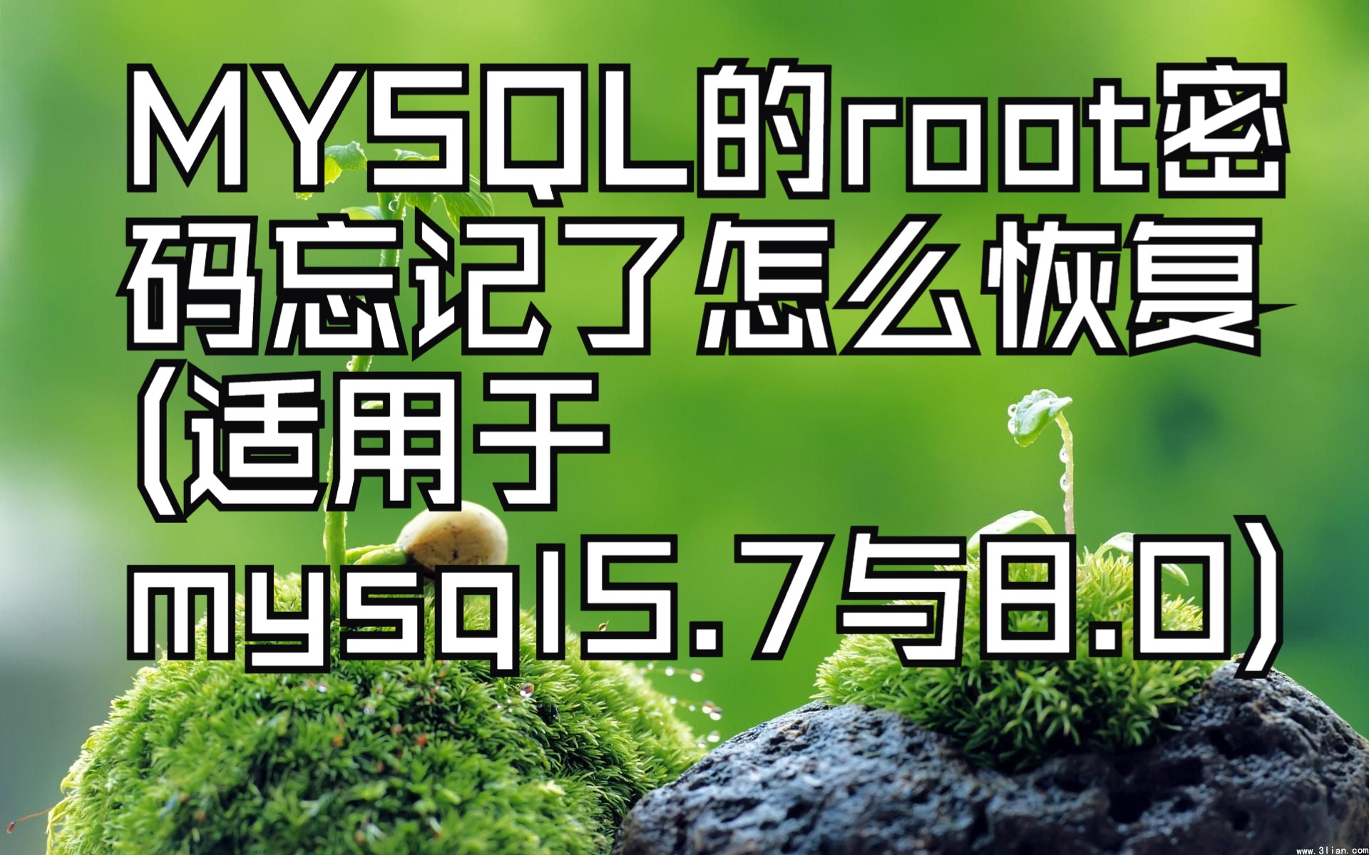 MYSQL的root密码忘记了怎么恢复(适用于mysql5.7与8.0)