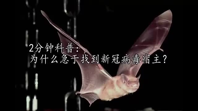 2分钟科普:为什么急于找到新冠状病毒宿主?