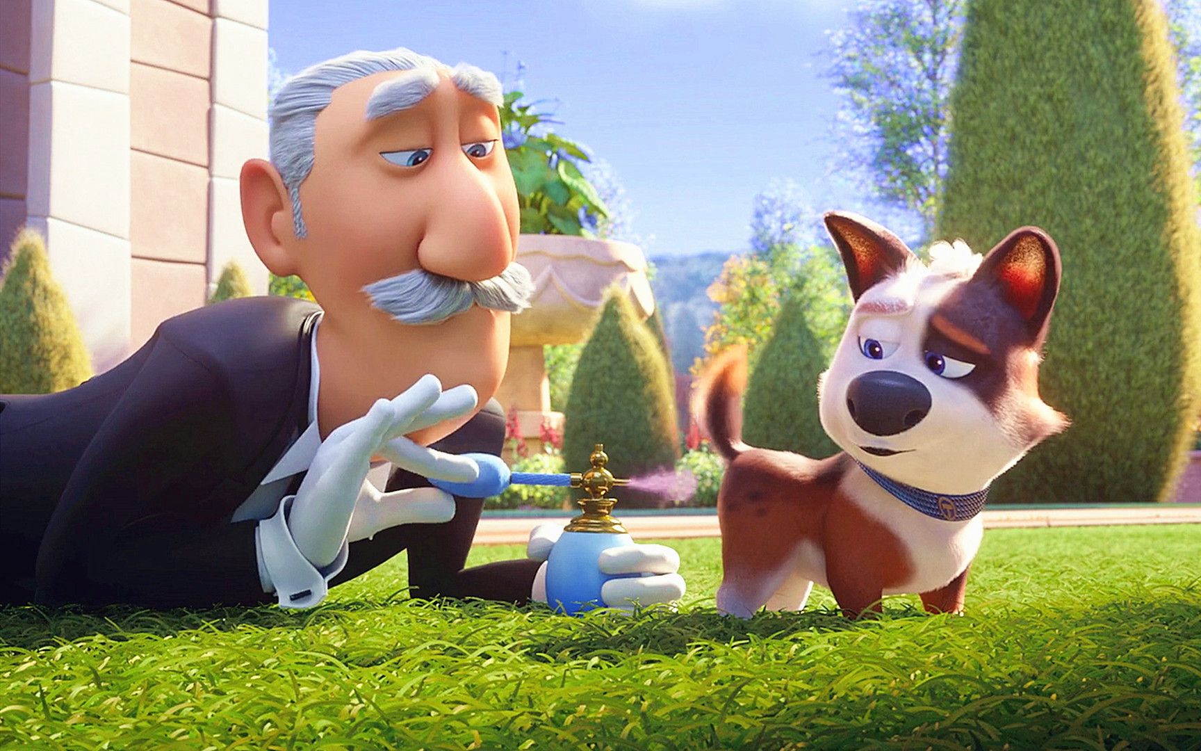 动画冒险电影《萌宠流浪记》,高级宠物狗一夜间变成流浪狗