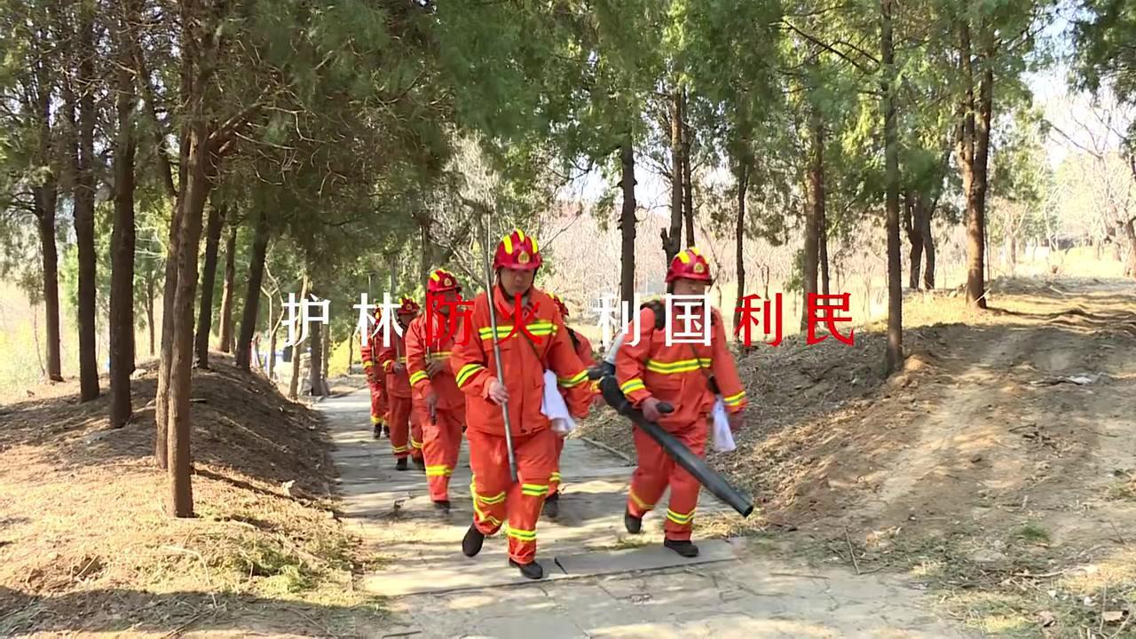 #文明祭扫森林防火人人有责#护林防火公益宣传