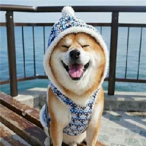 帆云富语 
