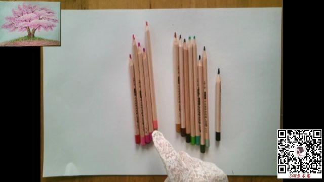 儿童彩铅画:《樱花树》