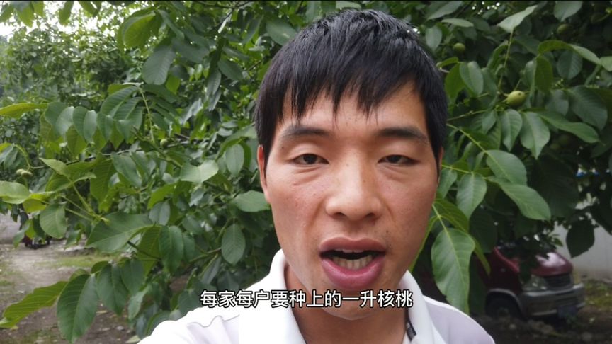 小平第一次介绍家乡的特产核桃,写好的台词对着镜头就跑偏