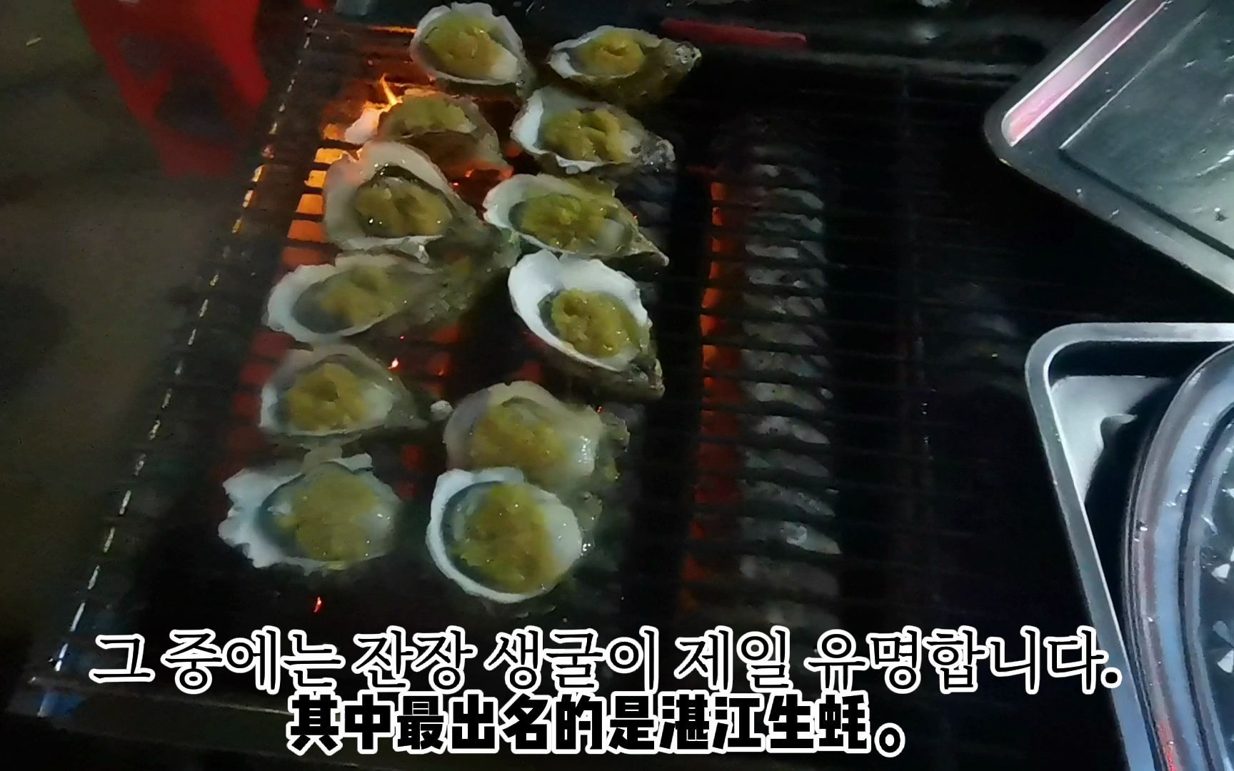 用韩语带你认识不一样的湛江!韩语专业学生的vlog介绍家乡湛江