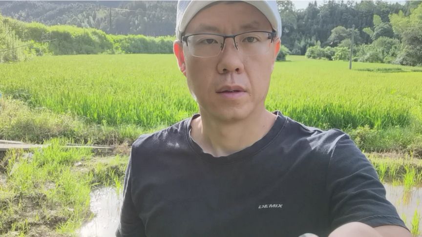 一粒米的成长历程