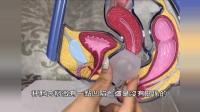 一分鐘學會使用月釀杯(月亮杯)字幕版