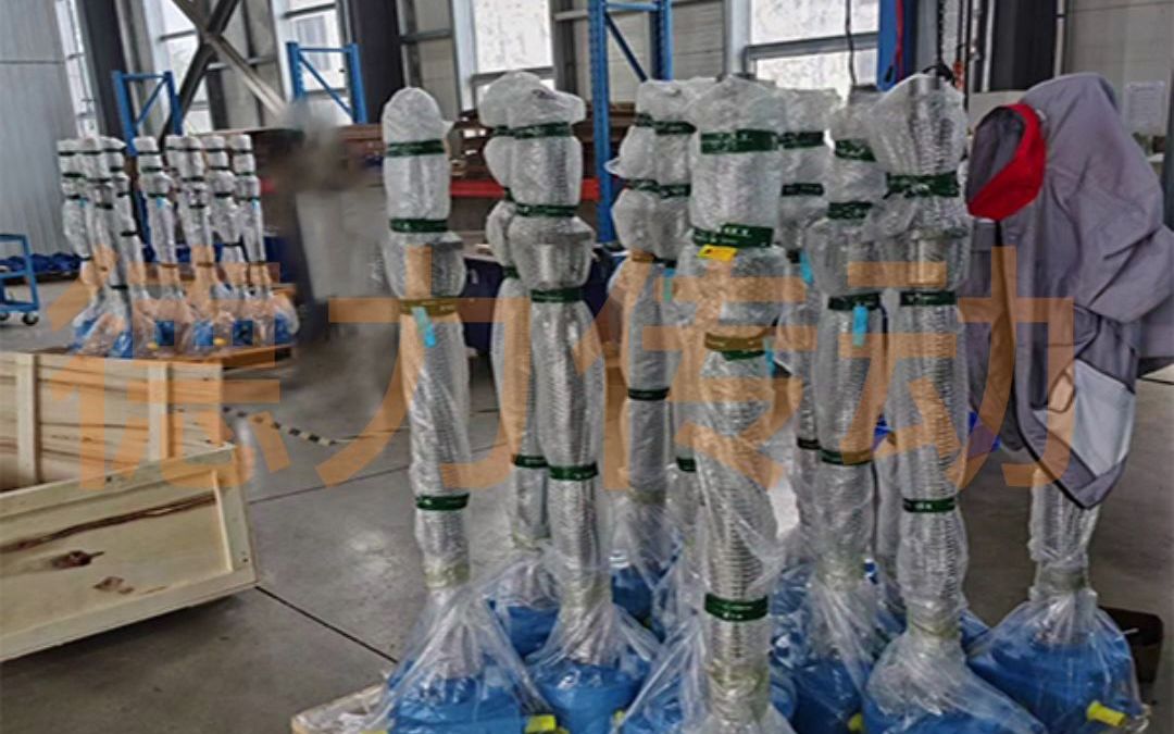 德力传动厂家供应多种型号丝杆升降机支持非标定制