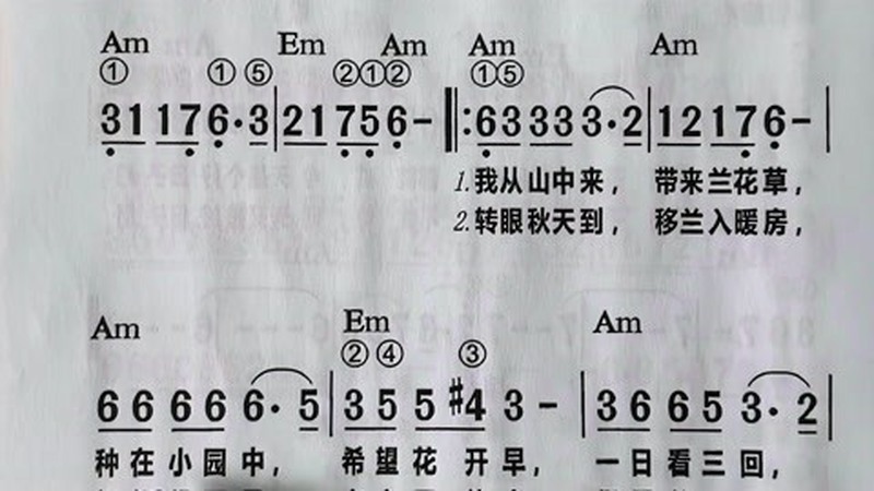 电子琴和弦简谱《兰花草》,简谱视唱