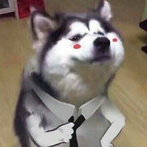利维亚的猪肉佬-白犬 
