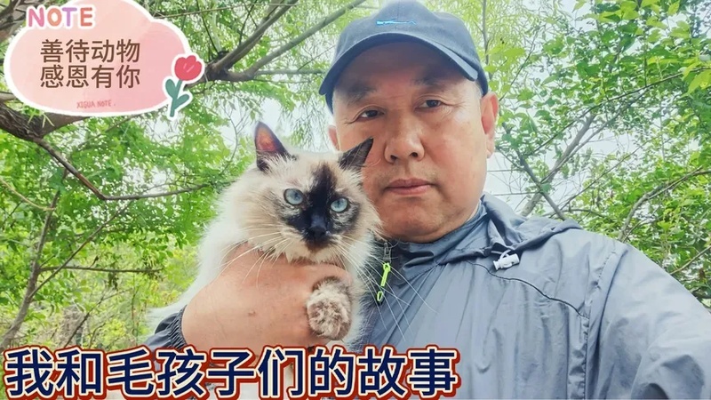 流浪动物也是这个世界上的生灵,它们的生命同样值得去尊重