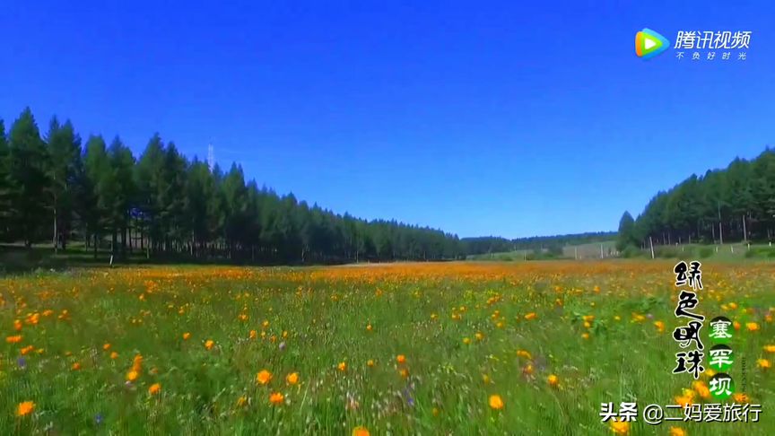 中国绿色明珠塞罕坝国家森林公园《下》