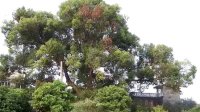 (高清)诗歌朗诵:《园丁颂歌》教师节献礼