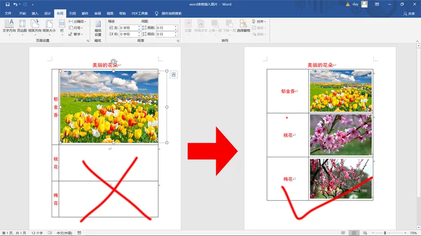 word表格插入图片怎样不变形?一招搞定,图片自适应单元格大小