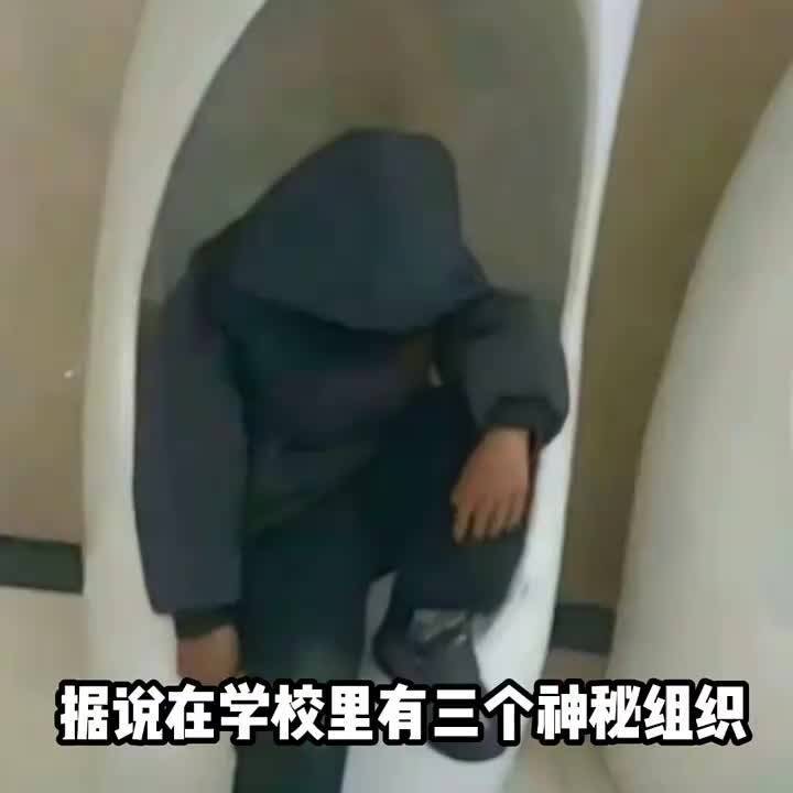 学生会,校园最神秘组织,鲜为人知的运作内幕