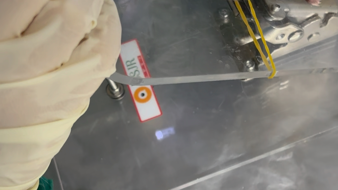 小鼠气管内给药-气管内滴-肺纤维化-博来霉素造模