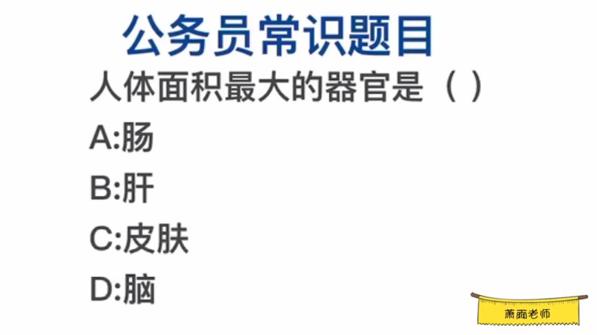 公务员常识,人体面积最大的器官是什么?