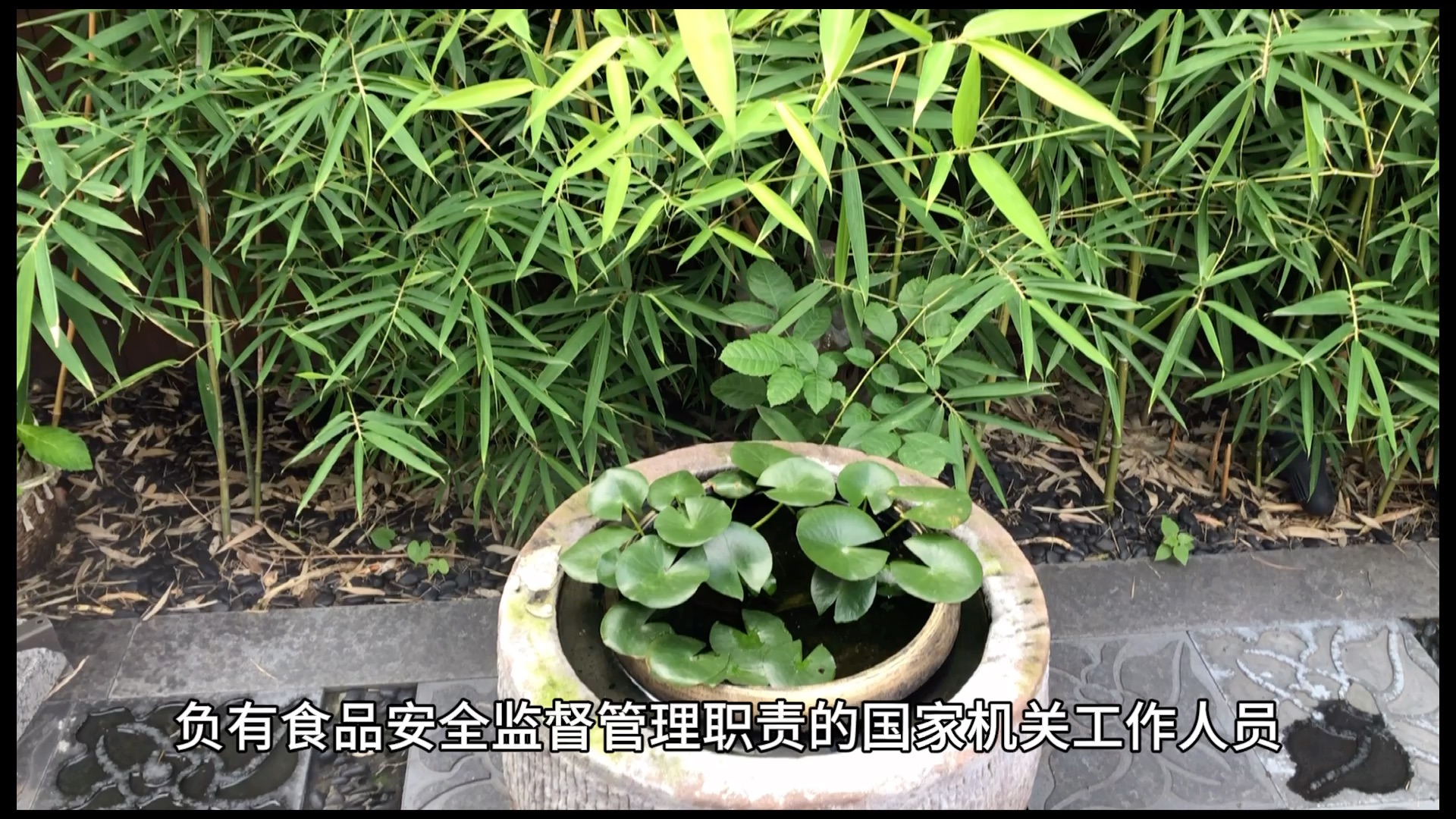 检例第16号:赛跃、韩成武受贿、食品监管渎职案(385条、408条之一)...