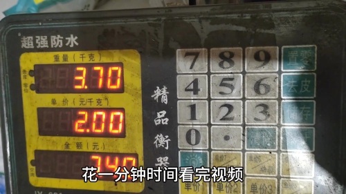 面对电子秤无法正常启动的困境,你该如何解决这个难题呢?