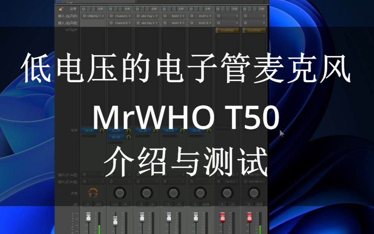 年轻人的第一支电子管?低电压的电子管麦克风 MrWHO T50介绍与测试