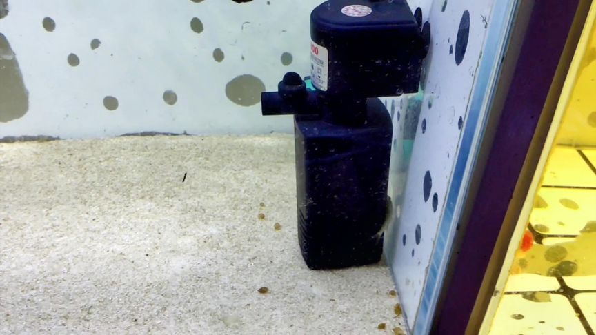 这种内置过滤器有何作用?其实作用不大,更不适合饲养金鱼、锦鲤