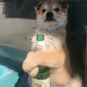 天地人通万事通 