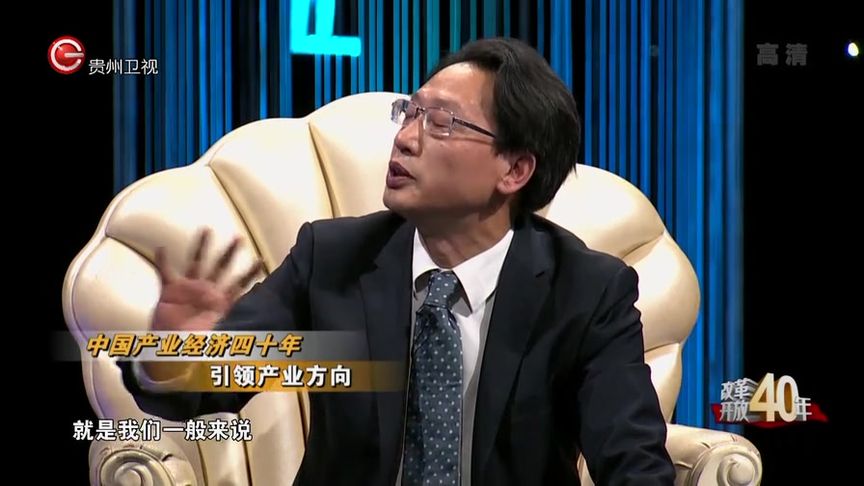 论道:引领产业方向,协调发挥作用,聚焦中国产业经济发展
