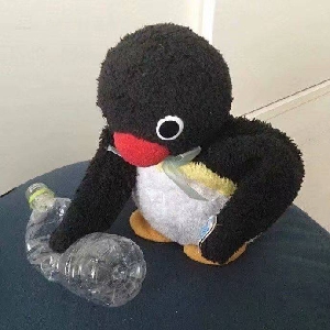 愚蠢的姓名不可用 