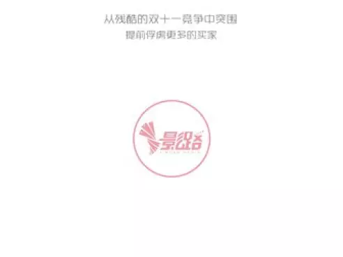 双11视频营销-视频营销导购视频手淘视频
