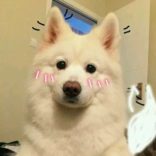 NNaaaannn 