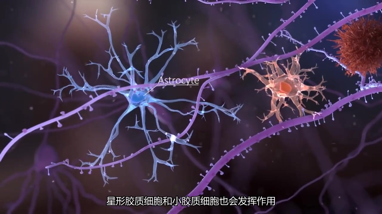 几分钟带你了解阿尔茨海默病