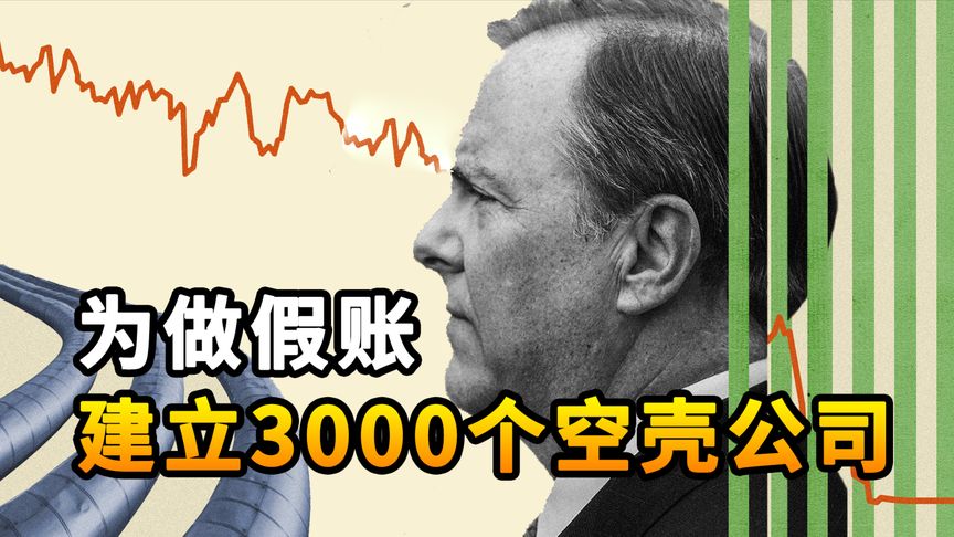 真实的欺诈事件,世界五百强公司为做假账,建立了3000个空壳公司