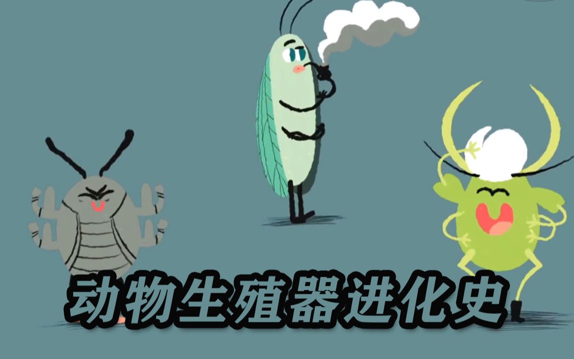 在交配时演奏音乐?TED动画科普:动物生殖器进化史