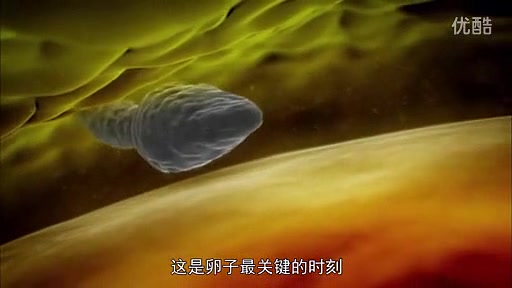 受精作用的过程