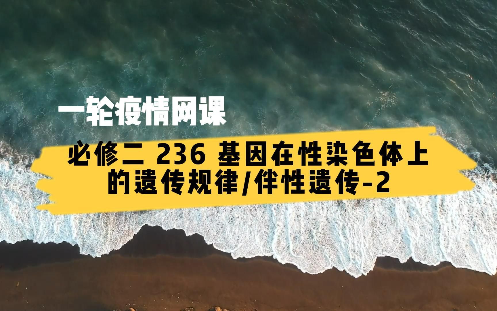 高中生物一轮 236-1 伴性遗传题型-2