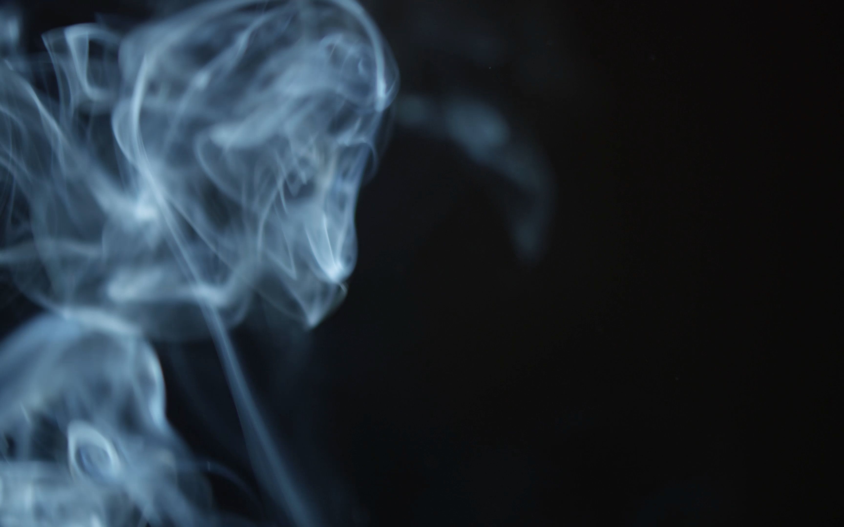 视频素材 100个粉尘粒子悬浮飘动4K视频特效合成素材 CINEDUST