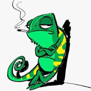 蜥蜴向前爬 